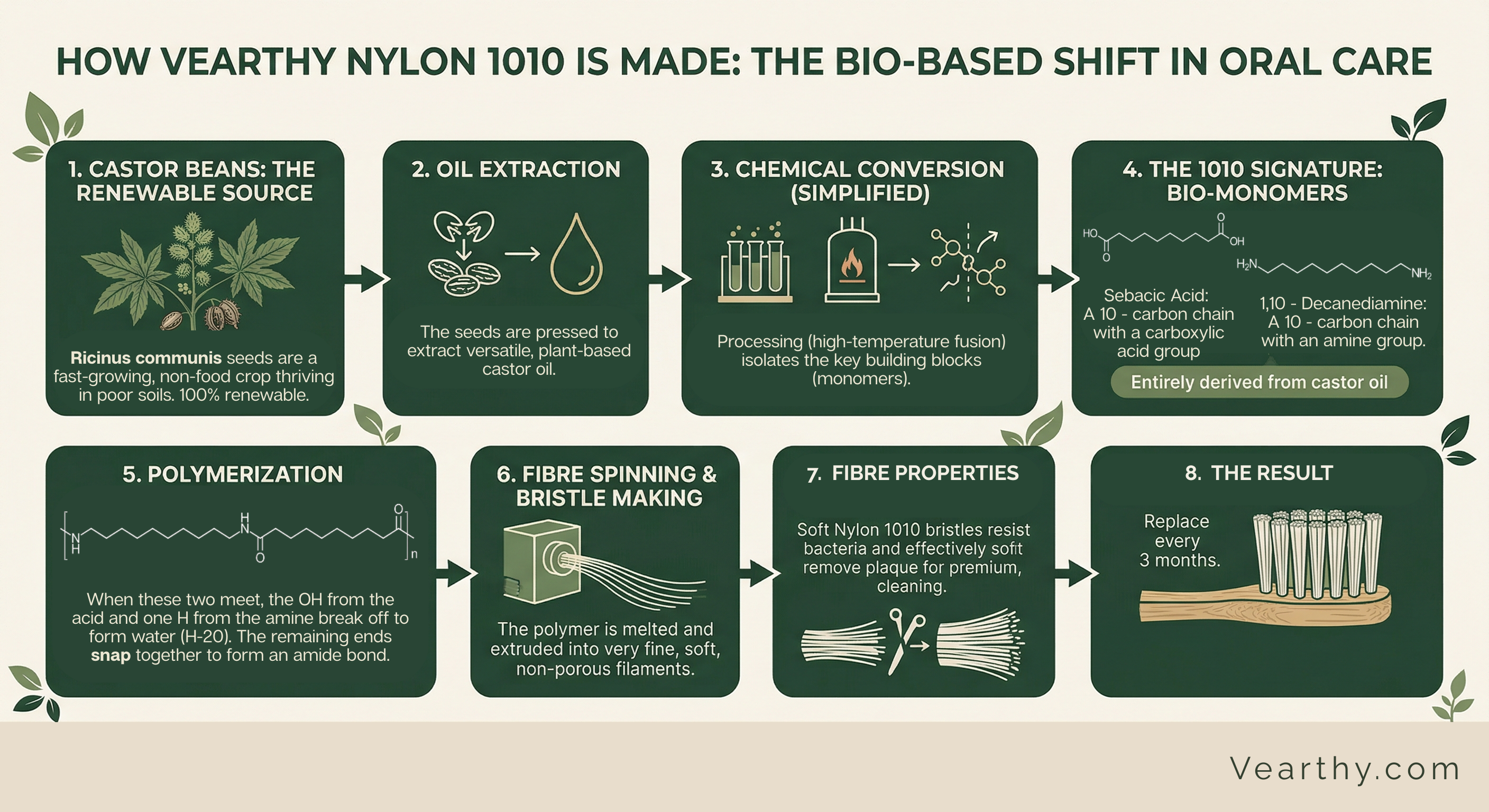 The Molecular Signature of Nylon 1010: Why castor oil bristles are the ...